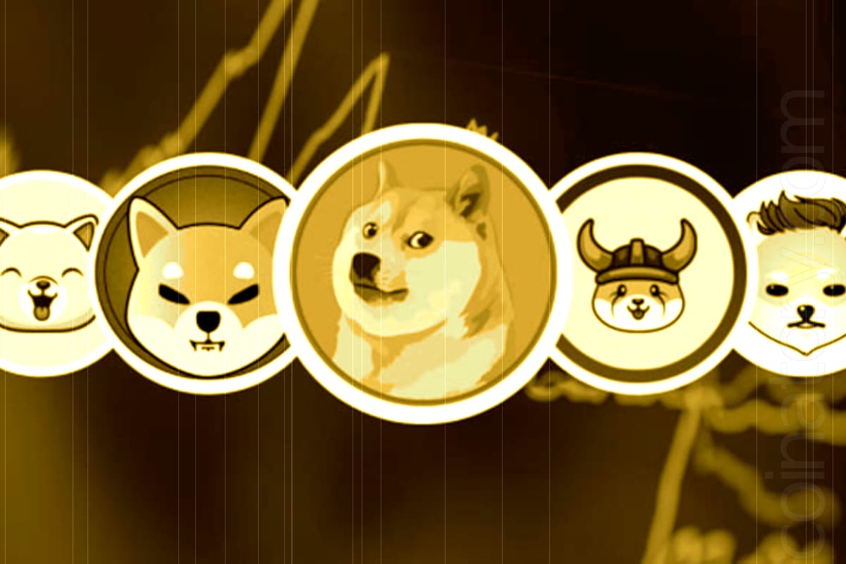 You Can Now Create A Shitcoin In Less Than 20 Seconds You Can Now Create A Shitcoin In Less Than 20 Seconds